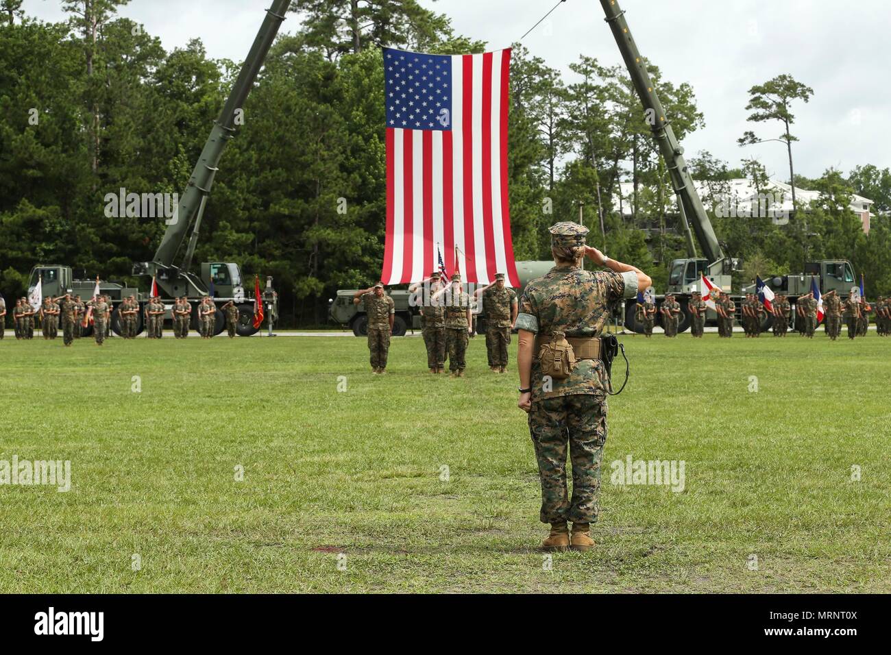 Patrick manson hi-res stock photography and images - Alamy