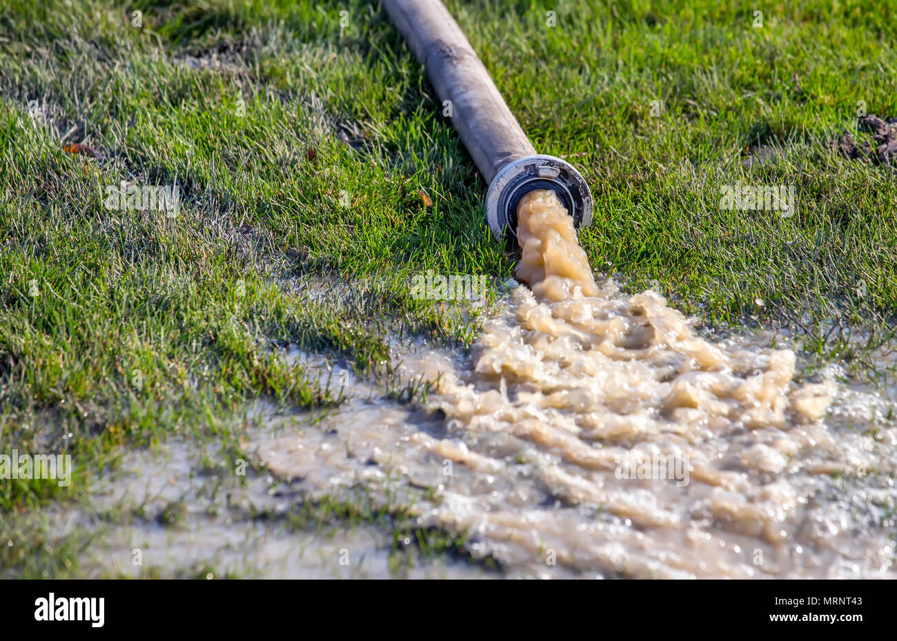 Pumping rainwater out of the excavation trenches, dewater construction ...