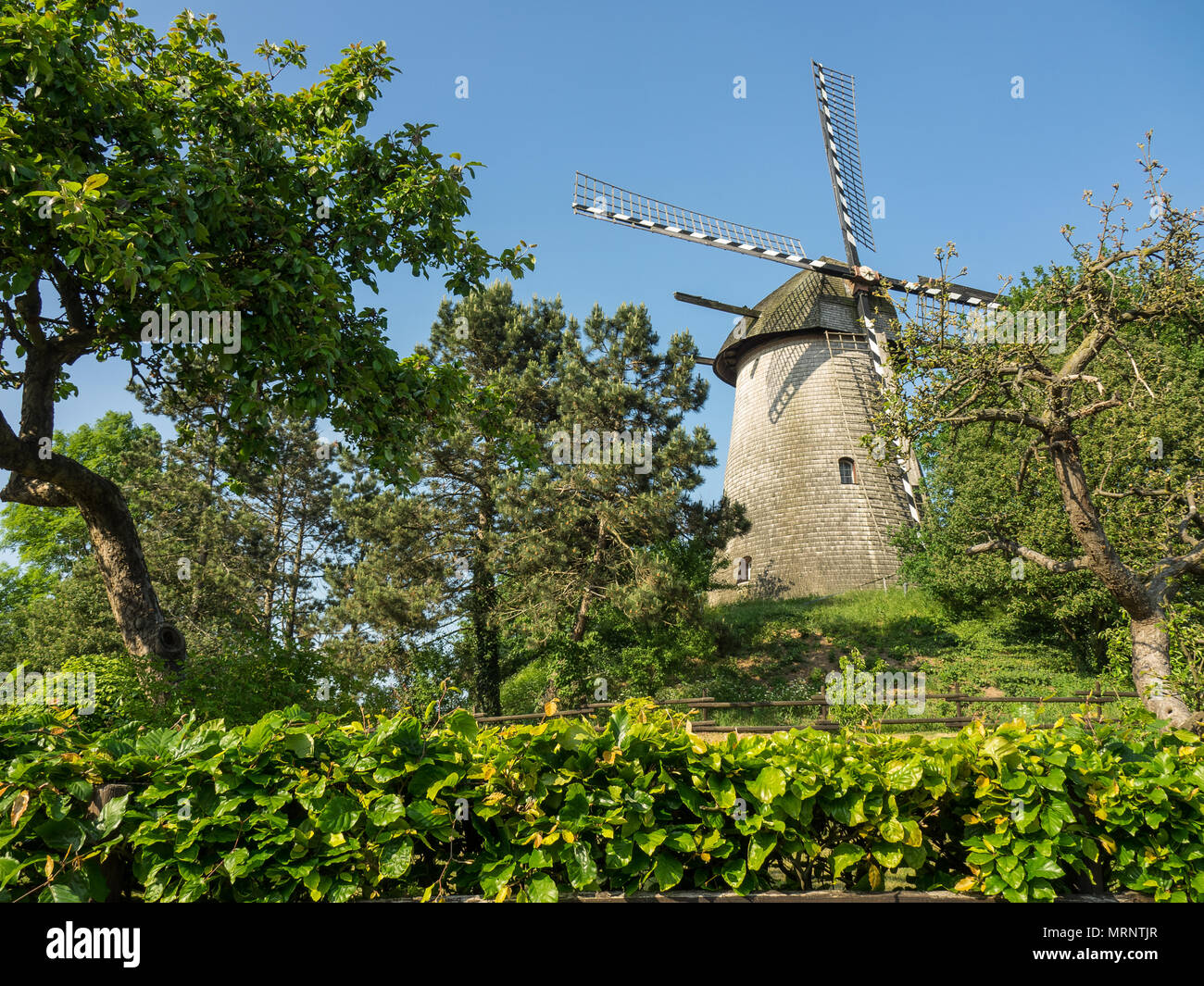 windmill in germany Stock Photo - Alamy