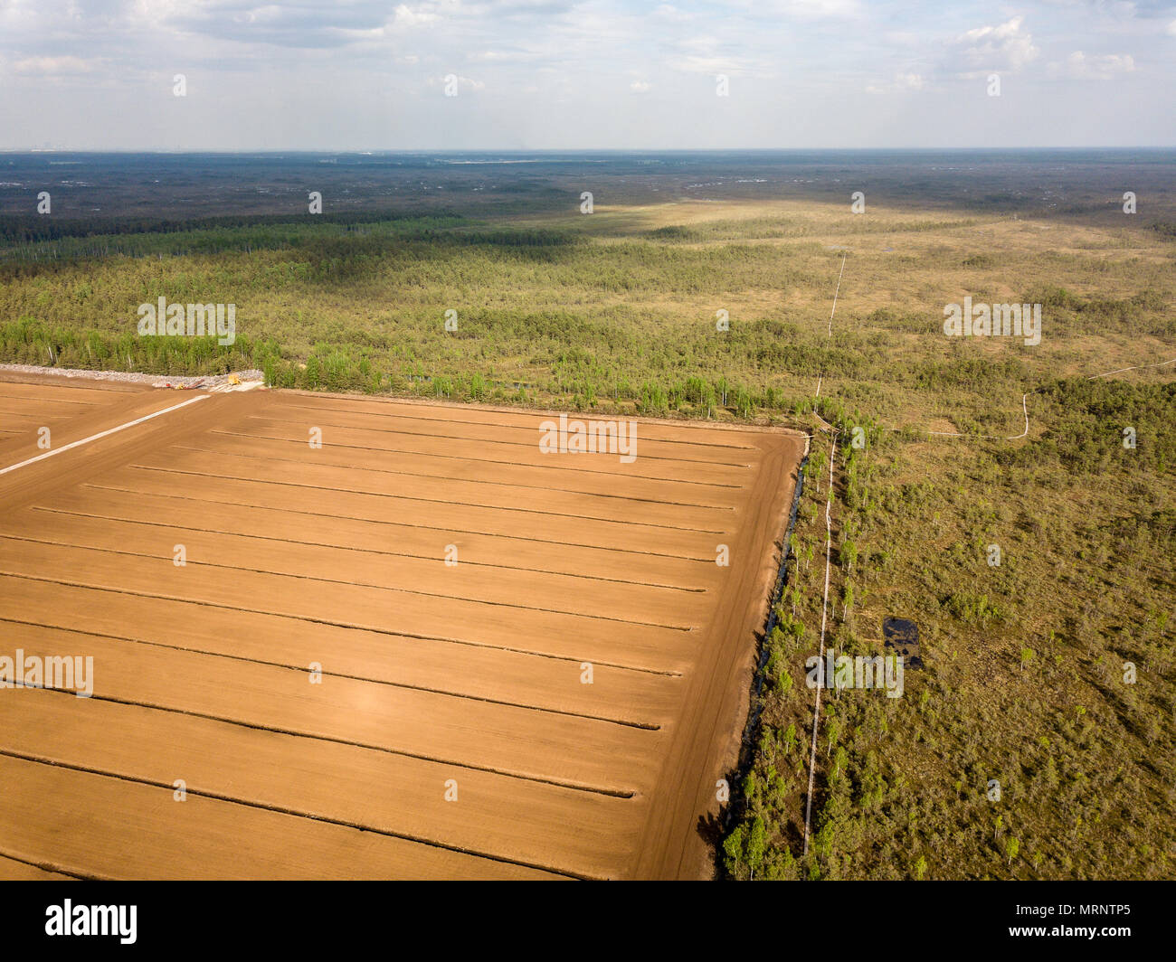 drone image. aerial view of cultivated turf fields in the swamp, Latvia ...