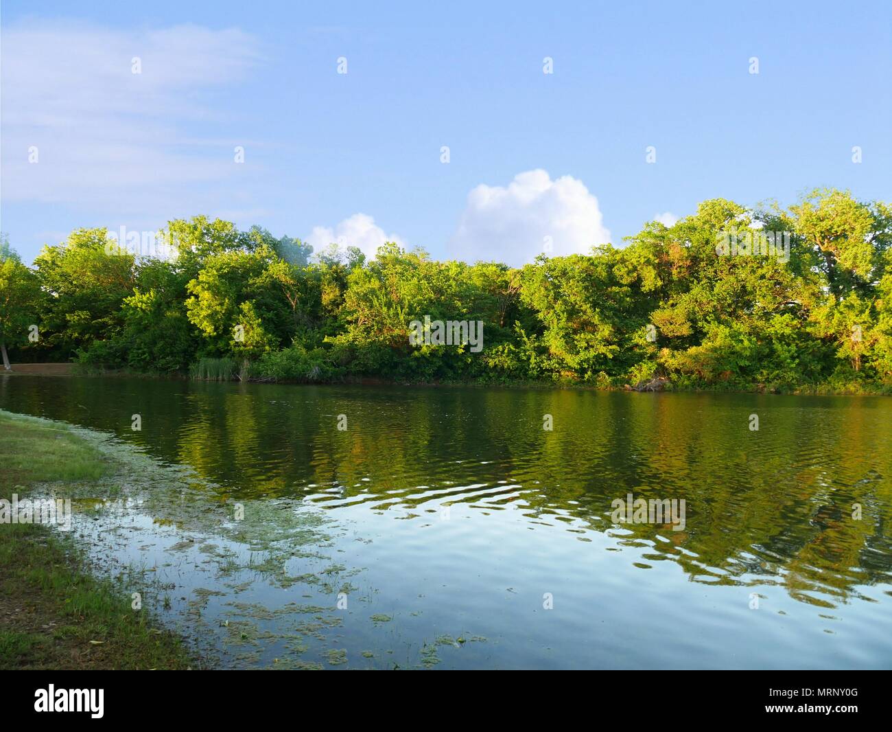 Reflections of gorgeous trees on the water Stock Photo - Alamy