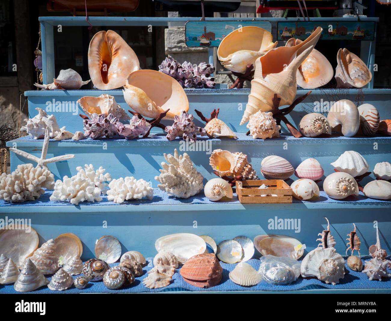 Sea shells for sale on a stall of a fishing village in southern Italy ...