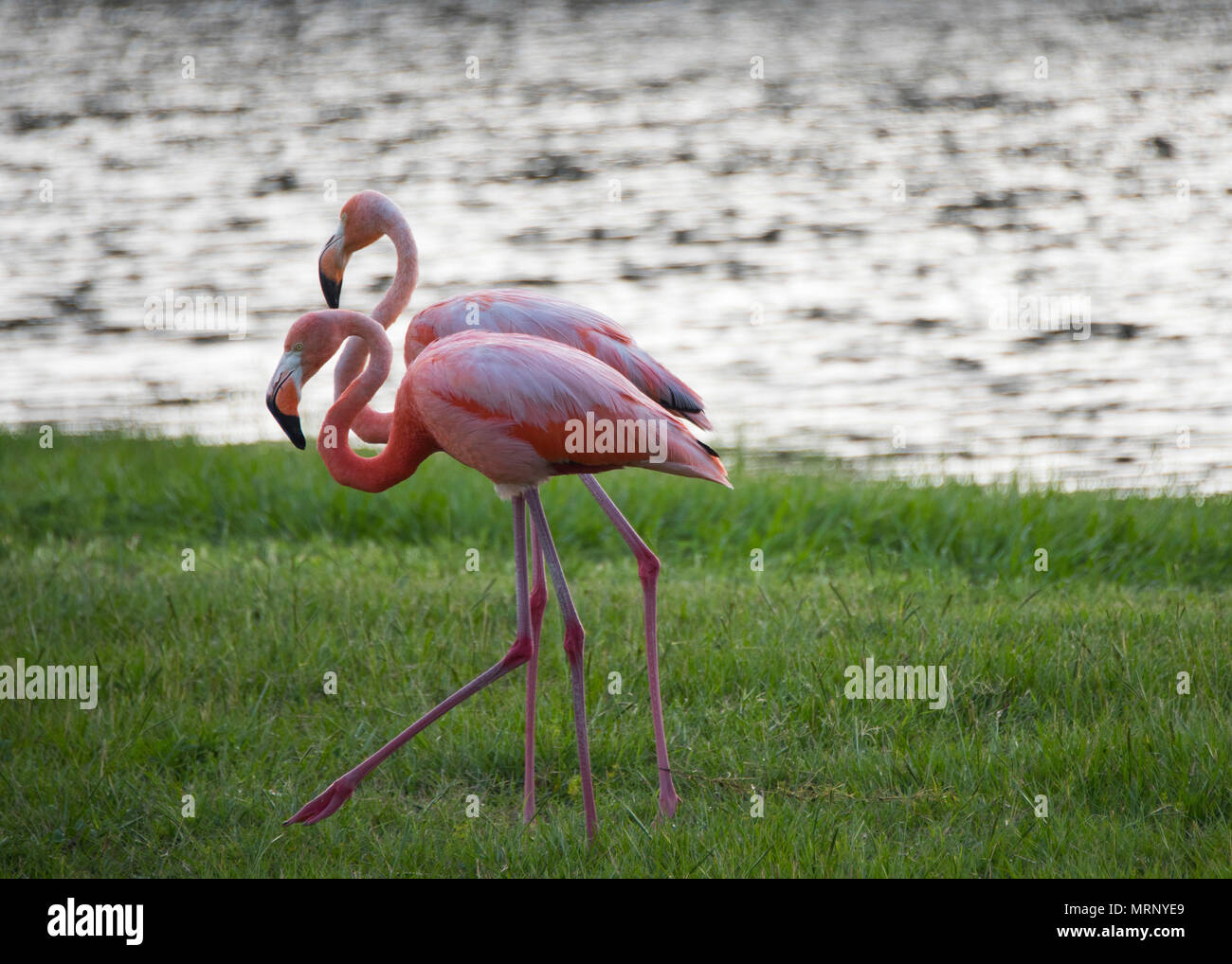 Storm shelter test hi-res stock photography and images - Alamy