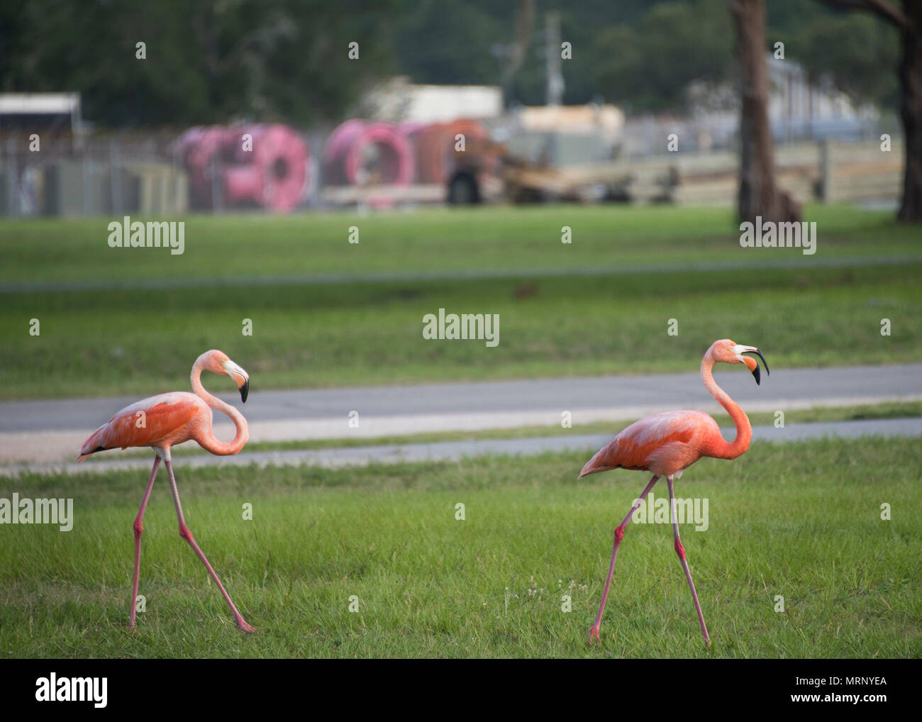 Storm shelter test hi-res stock photography and images - Alamy