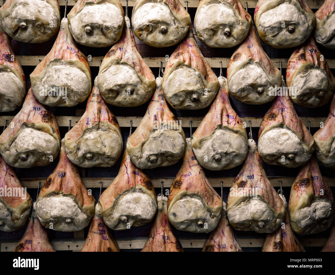 Thighs of ham during the curing process hanging in a cellar Stock Photo ...