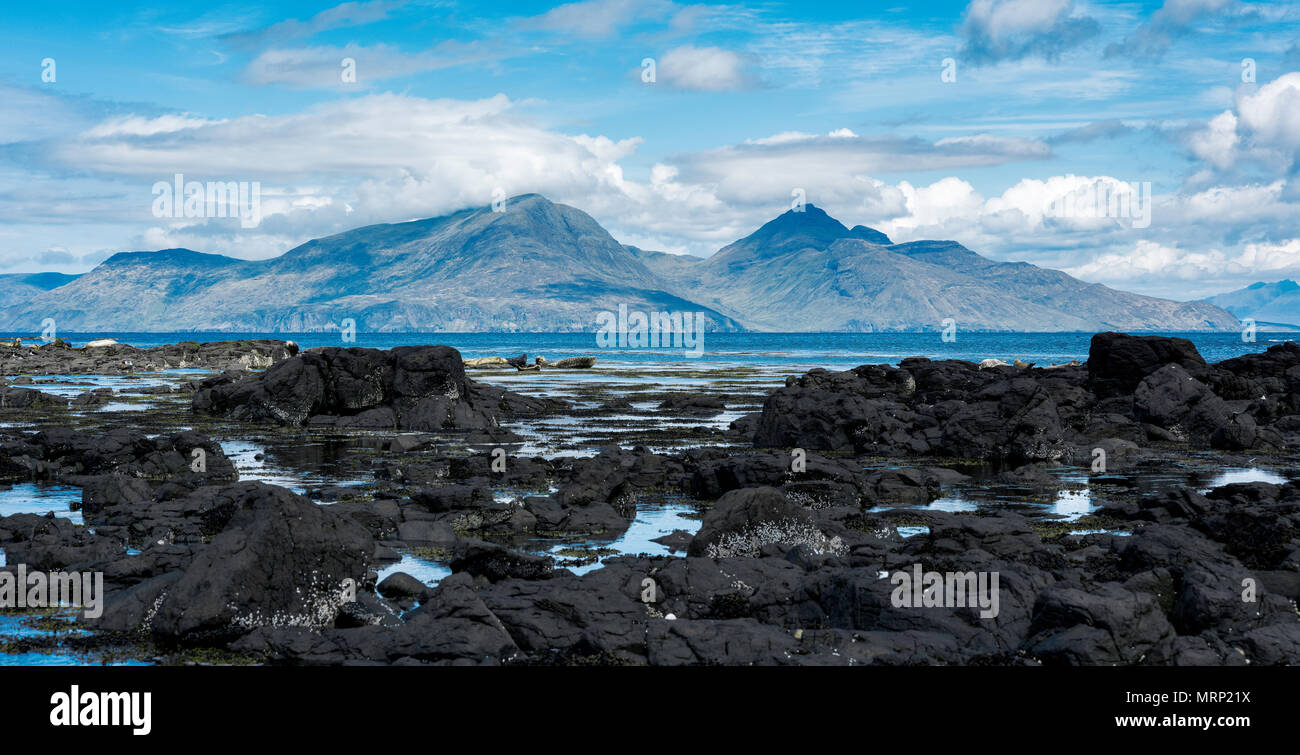 Common as muck hi-res stock photography and images - Alamy