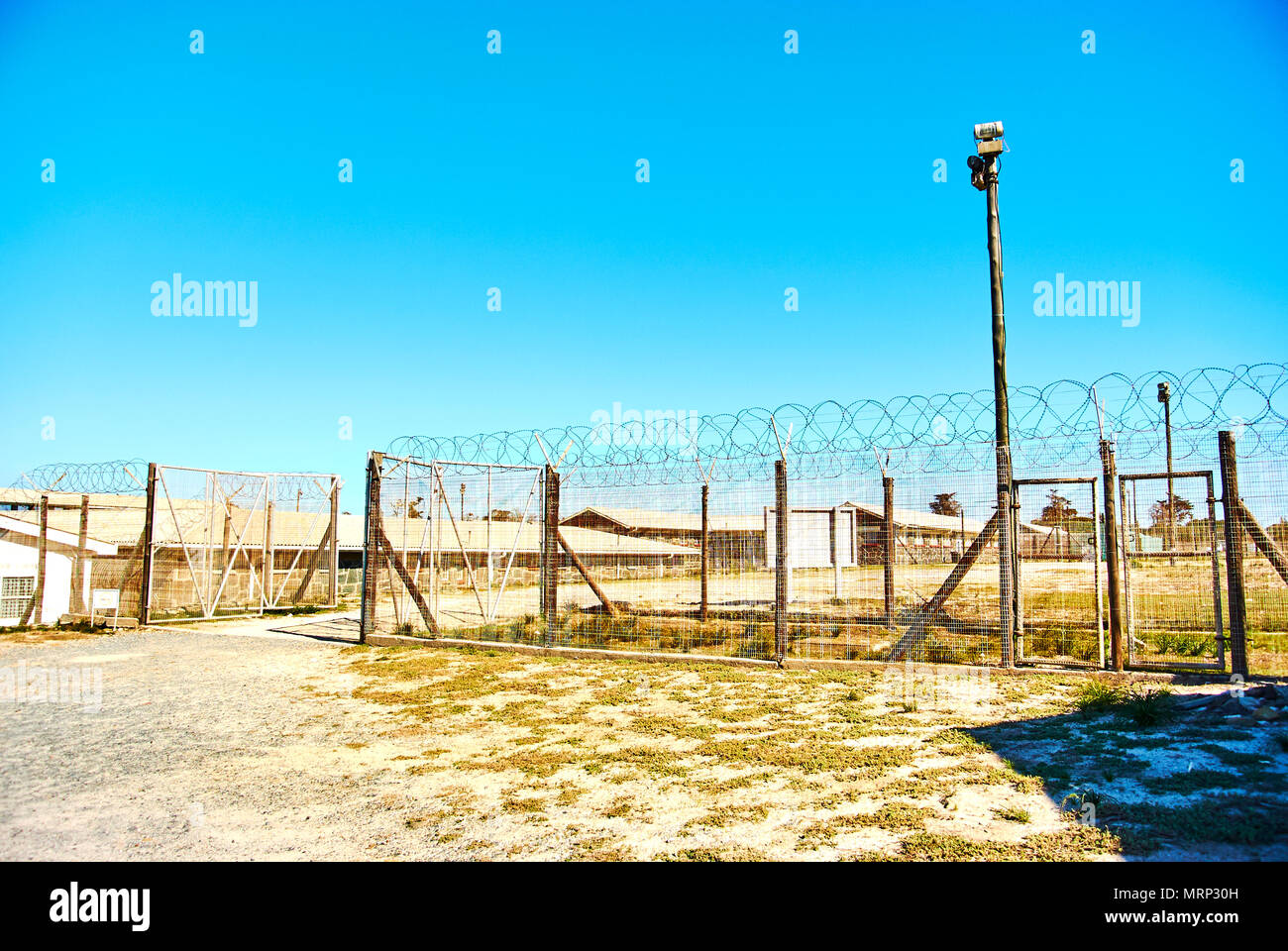 Robben Island (Afrikaans: Robbeneiland) island in Table Bay, west of ...