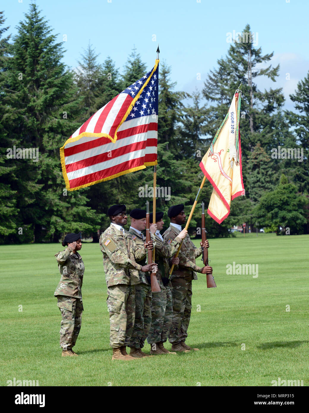 Command Sergeant Major Flag