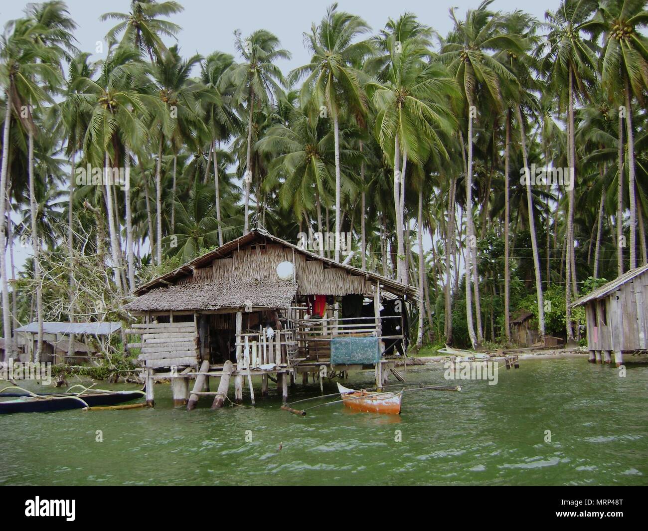 Houses made of coconut wood and woven coconut fronds stay on top of the ...