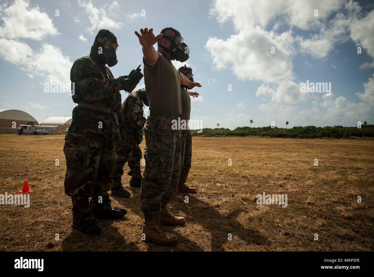 Marines assigned to Combat Logistics Battalion 3 scan Marines for ...