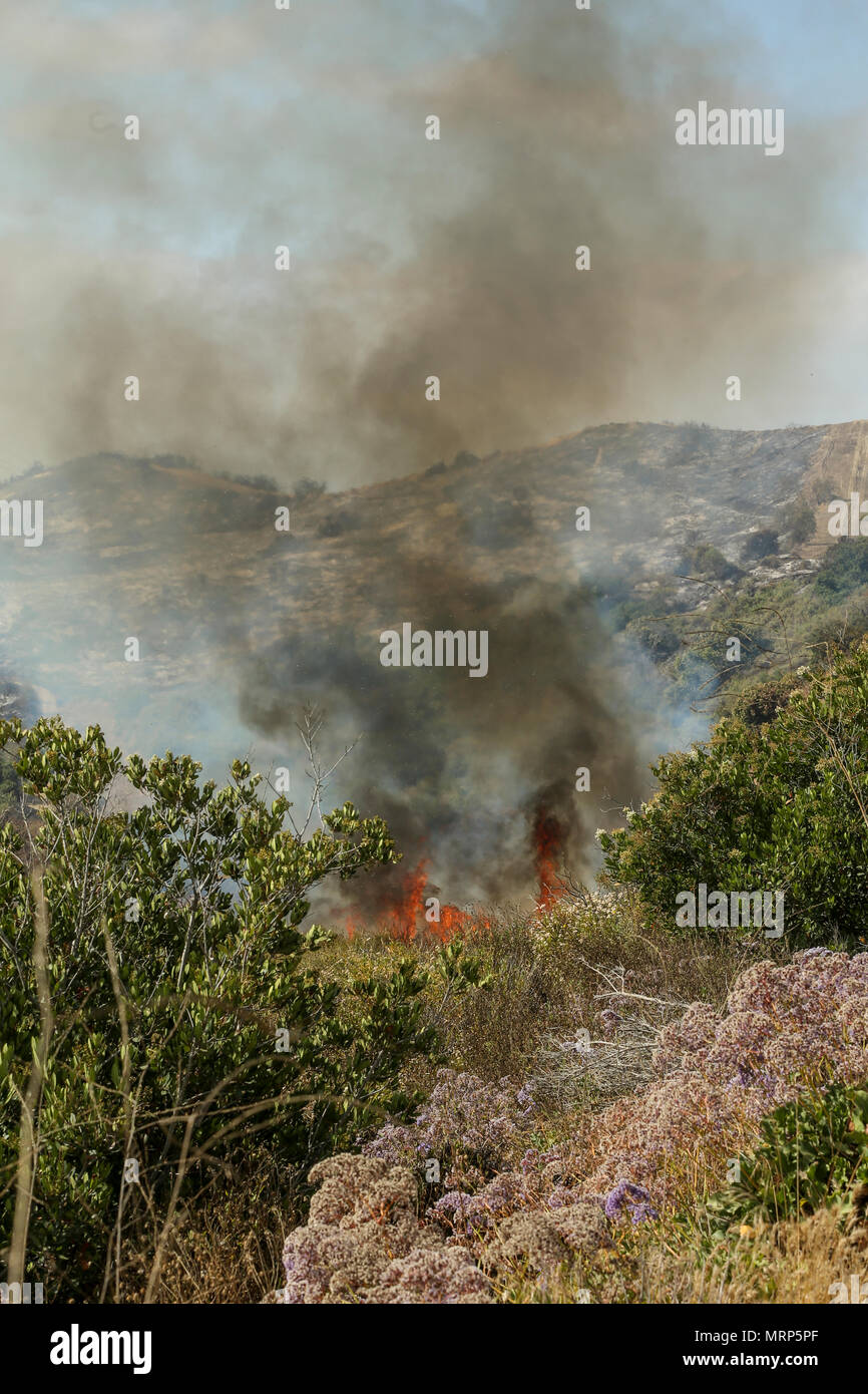 The Cristianitos fire burns the hills of San Clemente, Ca., June 29 ...