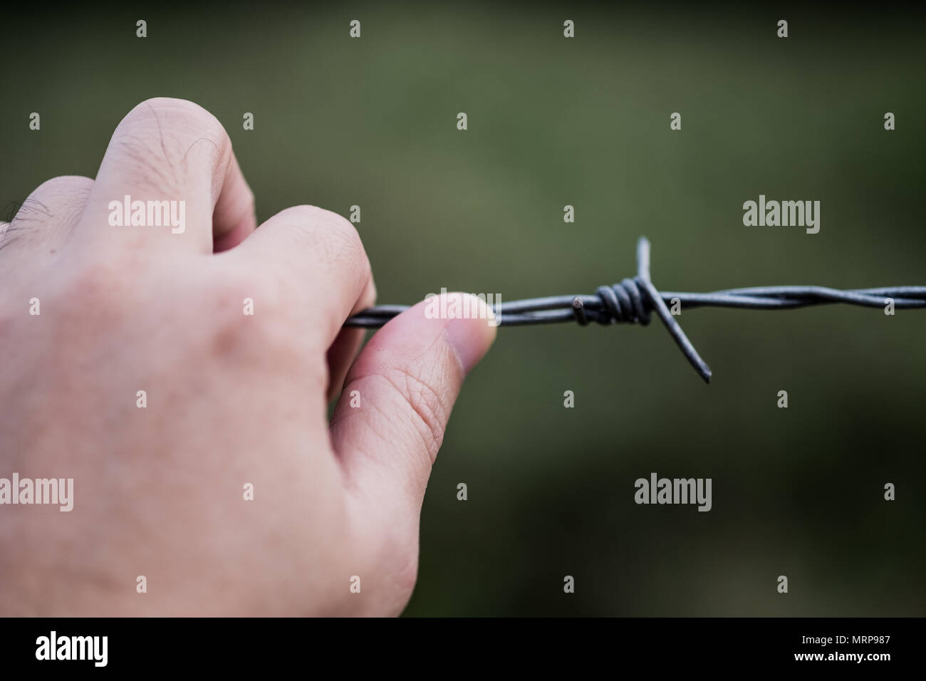 Hand with barbed wire hi-res stock photography and images - Alamy