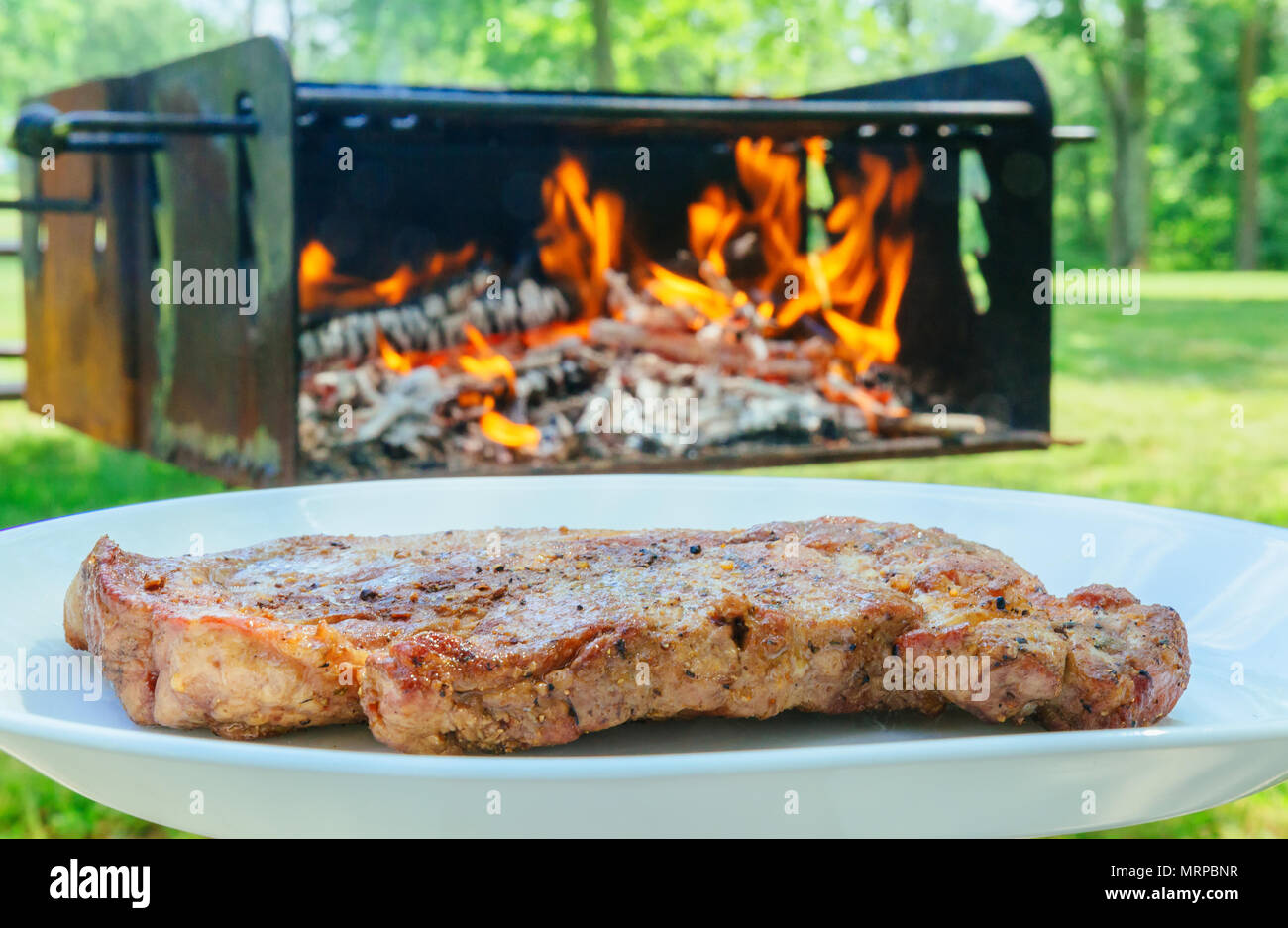 Delicious beef steaks on wood barbecue fire wood Stock Photo - Alamy