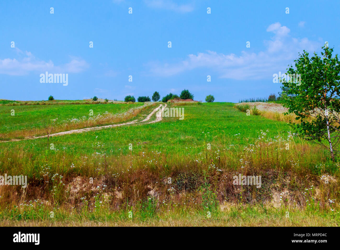 Latvian landscape hi-res stock photography and images - Alamy