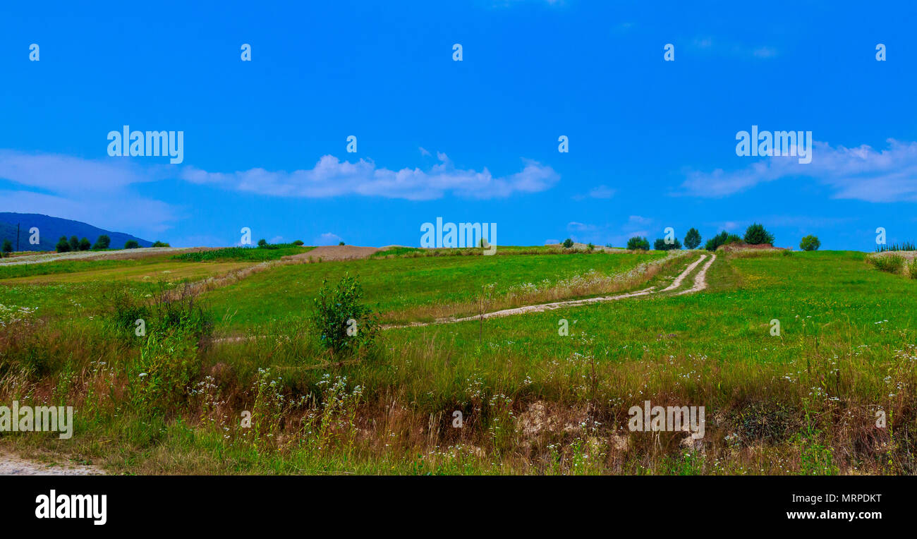 Country road and fields on the background of the blue Stock Photo - Alamy