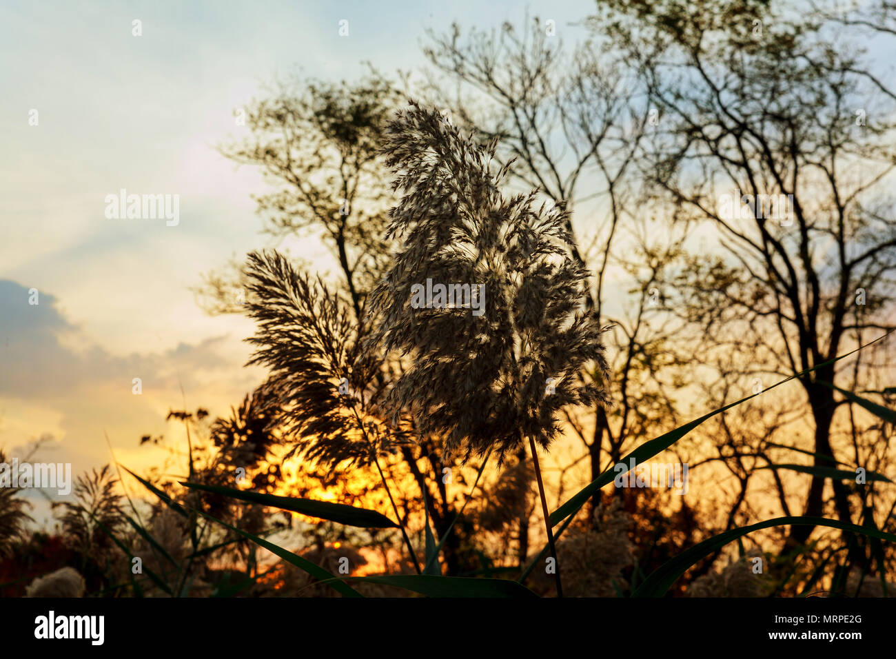 Early morning sunrise over the morning sunrise sky Stock Photo - Alamy
