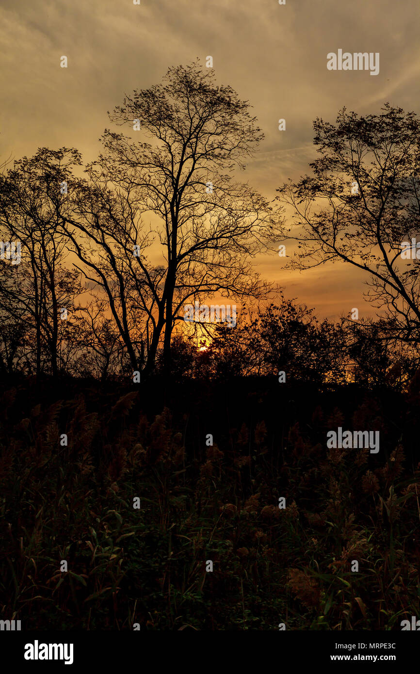 Beautiful sunrise and dramatic clouds on the sky. morning sunrise sky ...