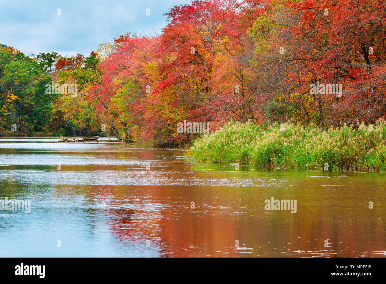 Colorful autumn trees on the lake Autumn forest river water Stock Photo ...