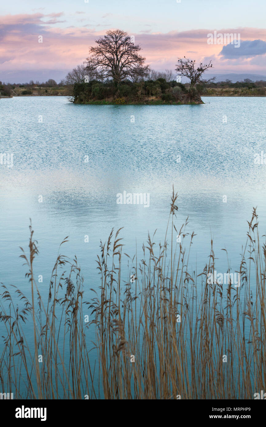 Marsh background hi-res stock photography and images - Alamy