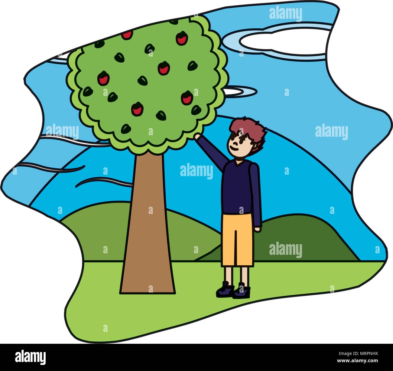 Apples trees fruits Stock Vector Images - Alamy