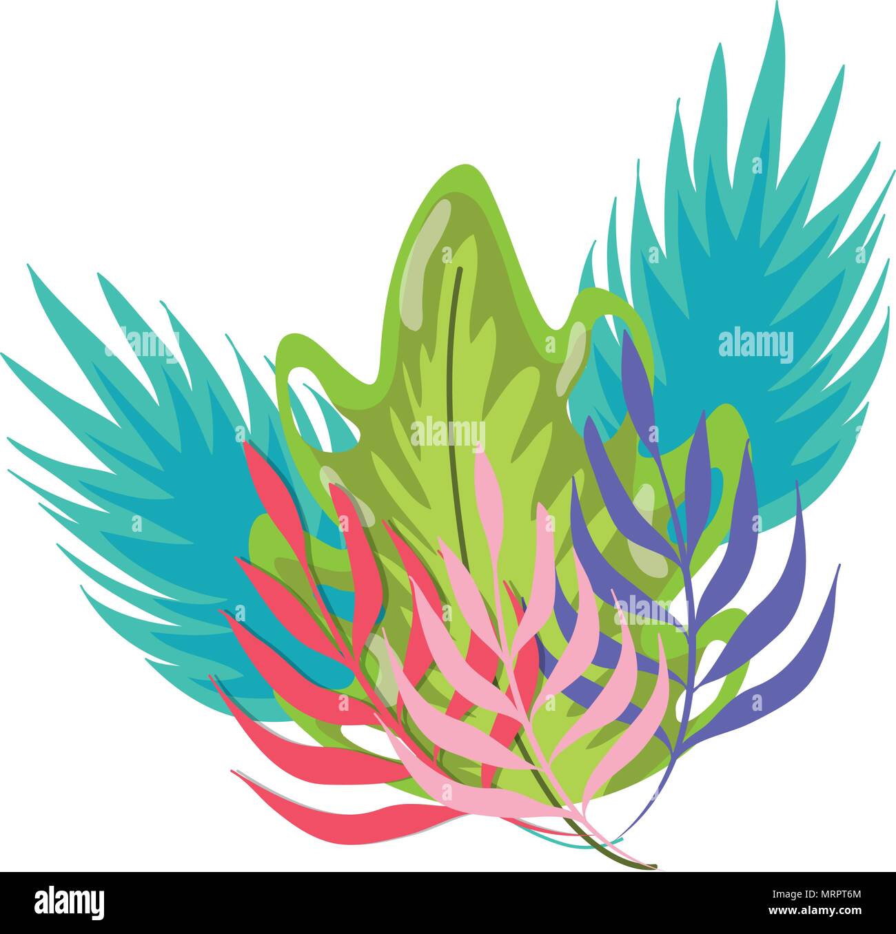 tropical plants natural leaves style Stock Vector Image & Art - Alamy