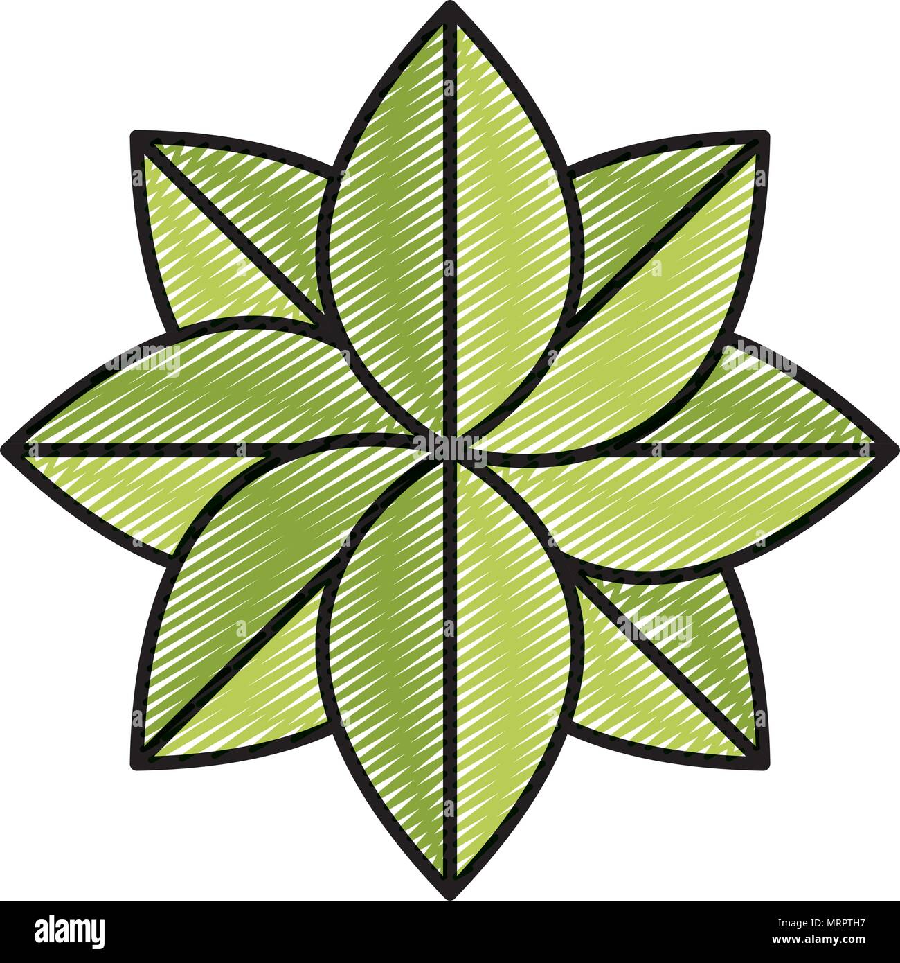 doodle nature tropical leaves plants style Stock Vector Image & Art - Alamy