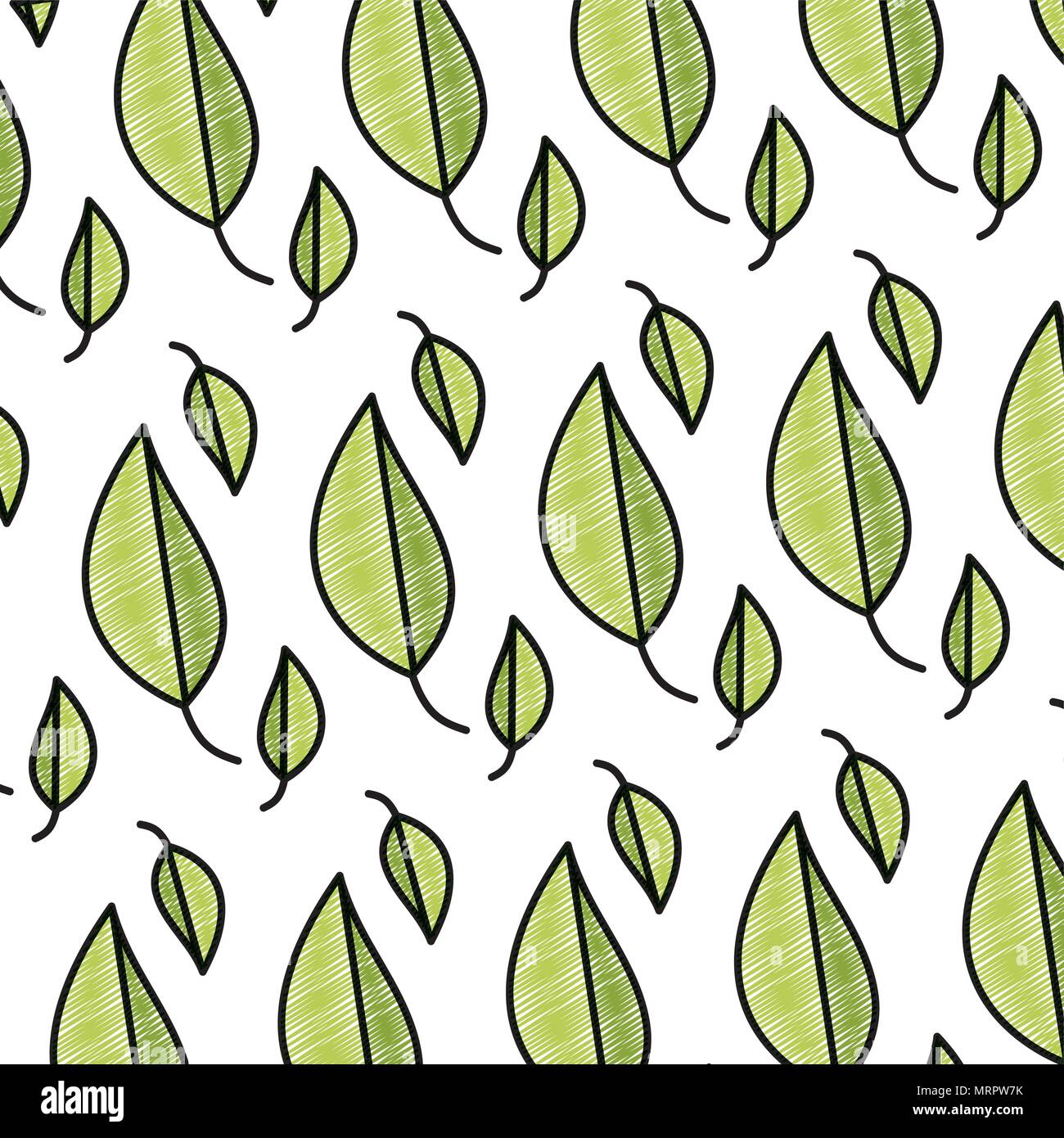 doodle natural leaf tropical botany background Stock Vector Image & Art ...