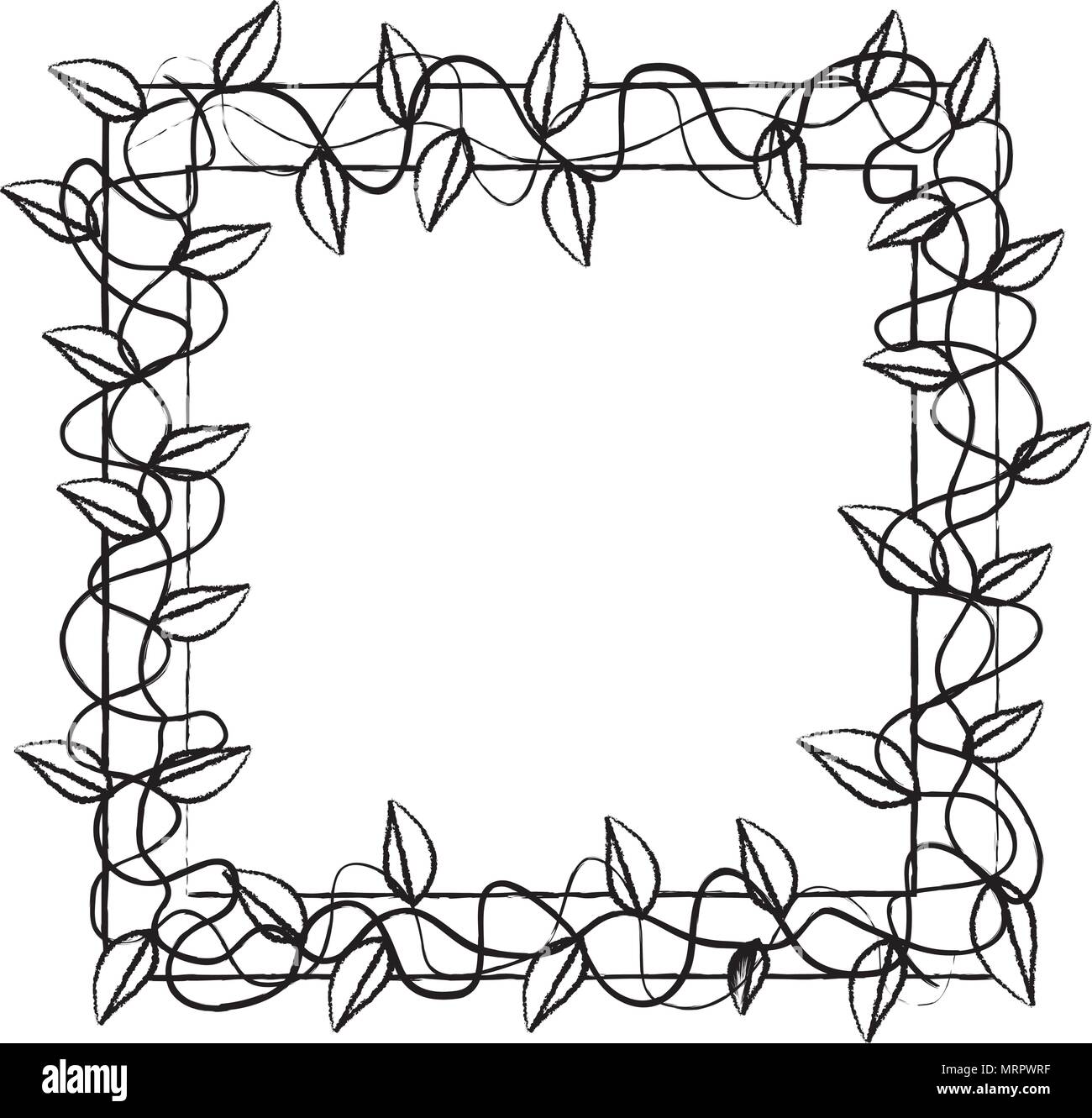 grunge square natural leaves tropical plant Stock Vector Image & Art ...