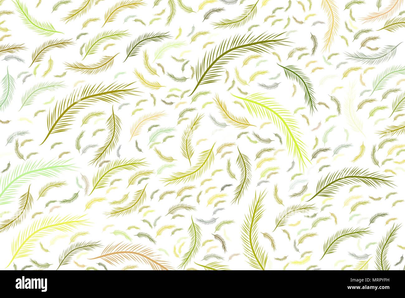 Decorative hand drawn feather illustrations. Good for design texture ...