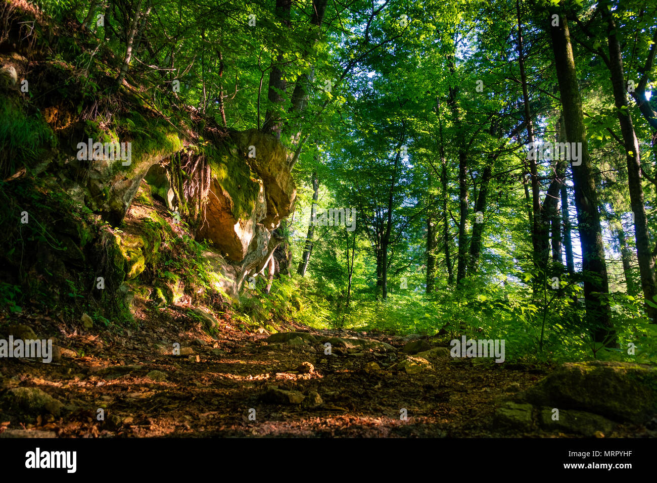 Green trail hi-res stock photography and images - Alamy