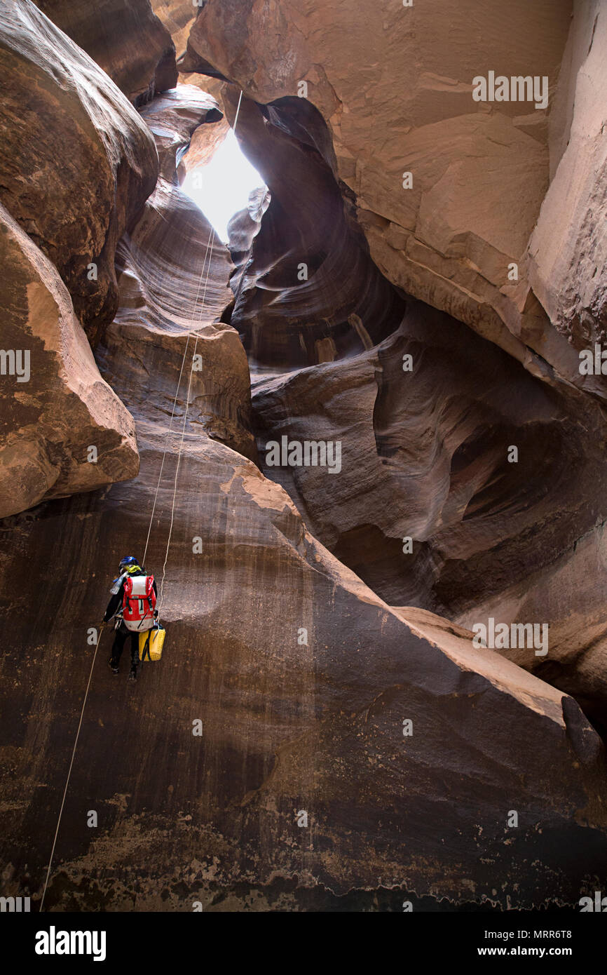 Zion national park hi-res stock photography and images - Alamy
