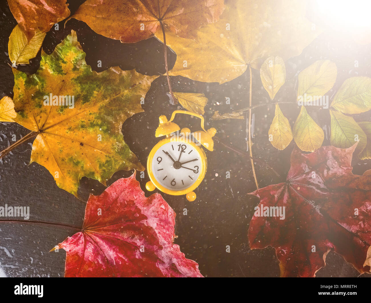 clock with leaves time change, Alarm clock in colorful autumn leaves ...