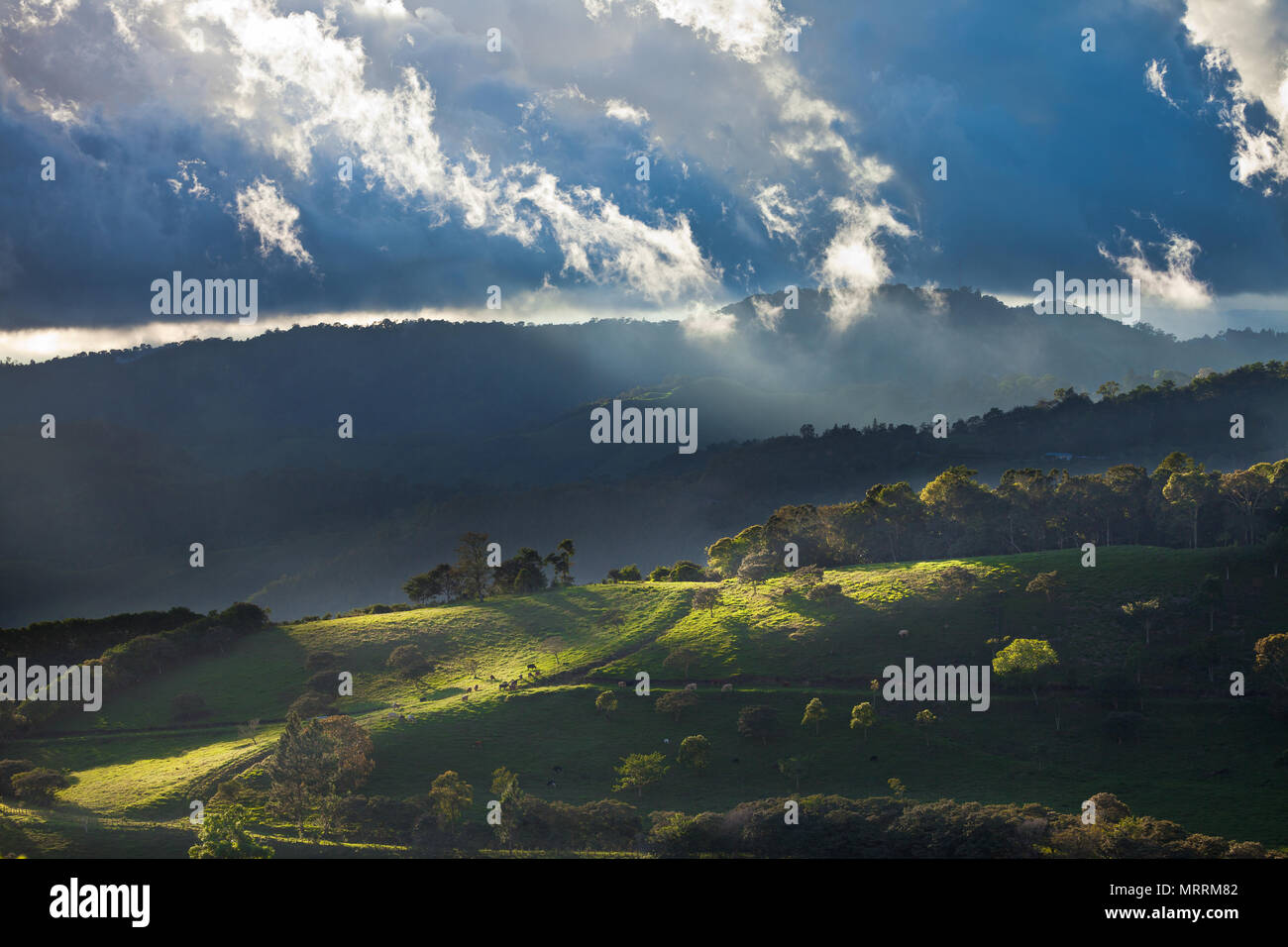 Panama landscape with evening light on the pasture fields and forested ...