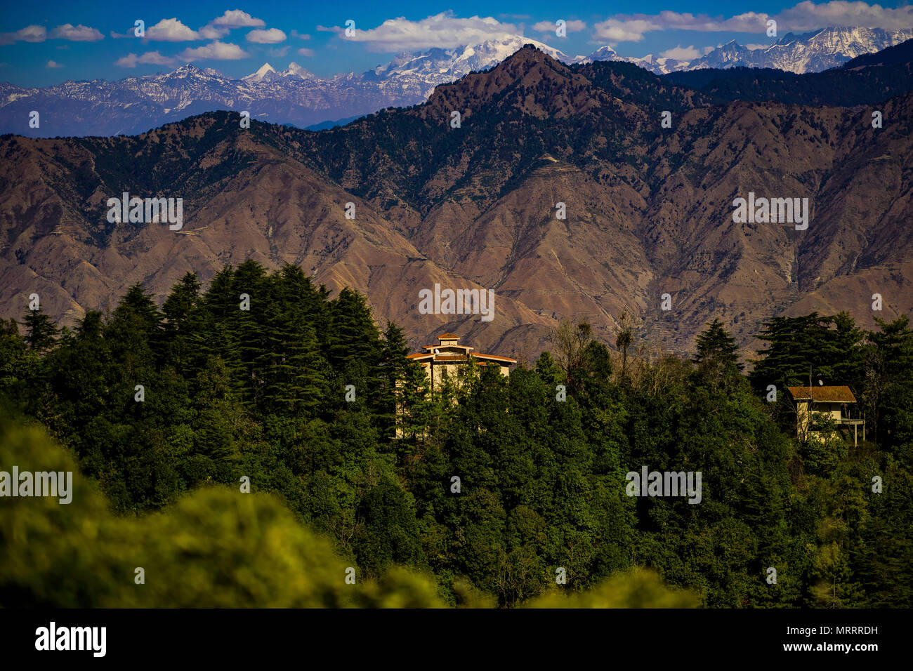 The Mini Land In Himalayas Stock Photo - Alamy