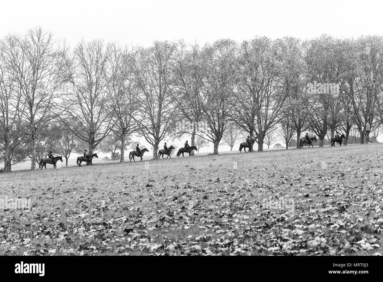 Training landscape hi-res stock photography and images - Alamy