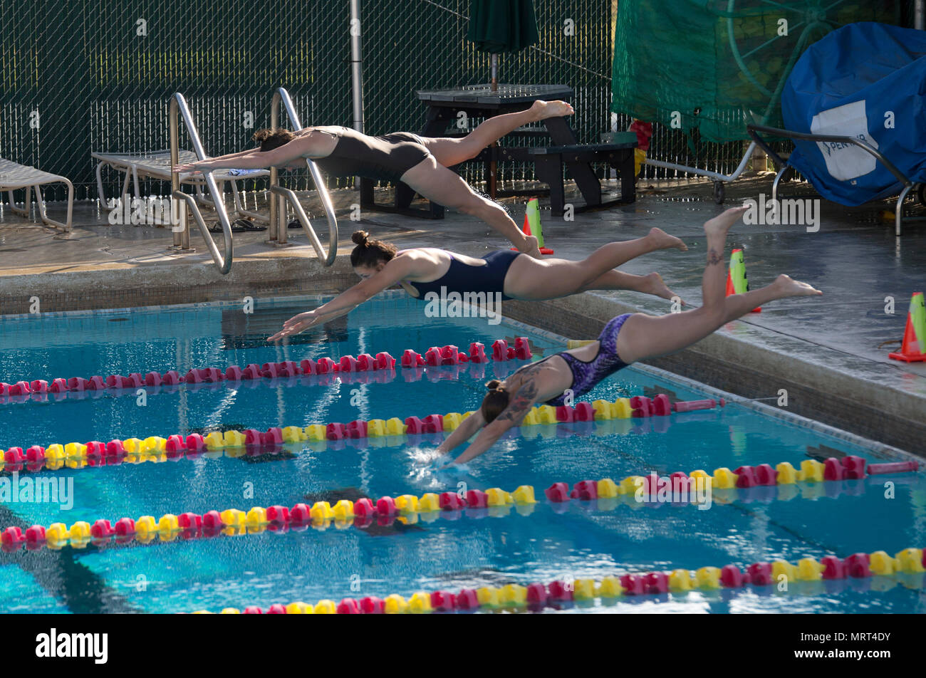 Contestants of Marine Corps Community Services’ swim meet dive into the ...
