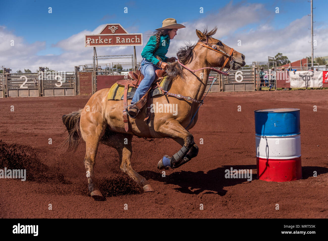State finals hi-res stock photography and images - Alamy