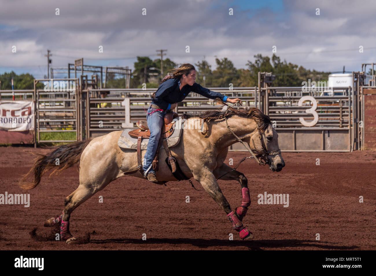 State finals hi-res stock photography and images - Alamy