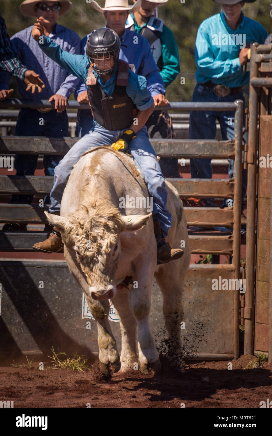 Hawaii cattlemen hi-res stock photography and images - Alamy