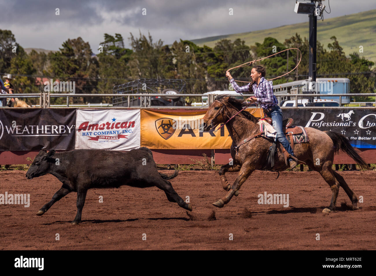 Big island hawaii parker ranch hi-res stock photography and images - Alamy