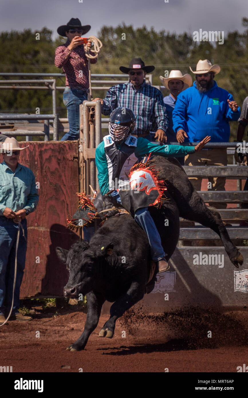 Hawaii cattlemen hi-res stock photography and images - Alamy
