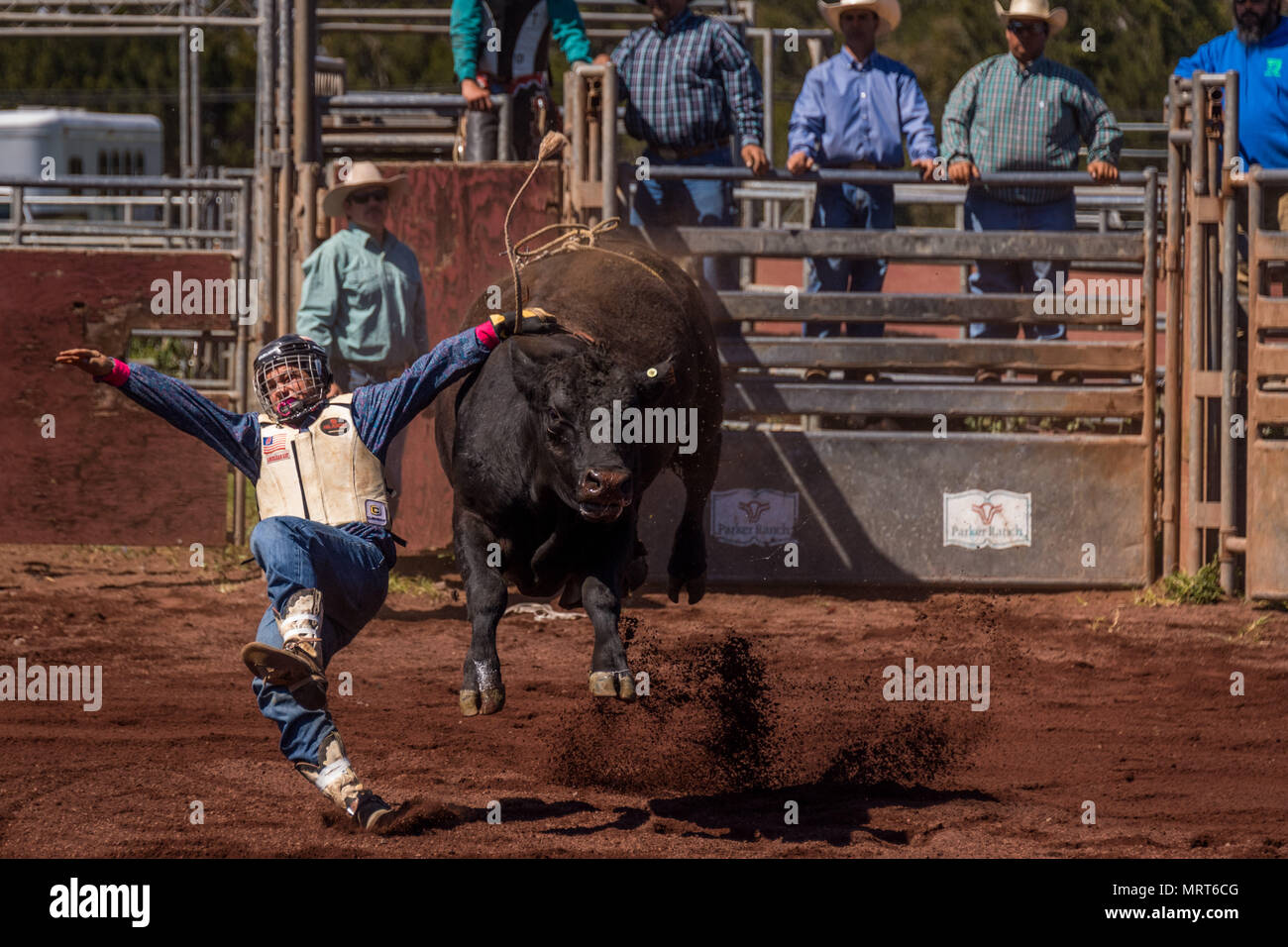 Hawaii cattlemen hi-res stock photography and images - Alamy