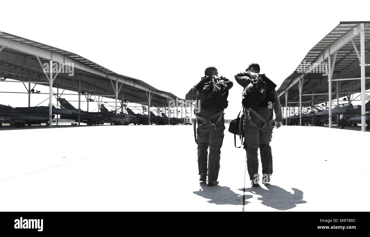 U.S. Air Force Col. Douglas Thies, 20th Operations Group commander ...