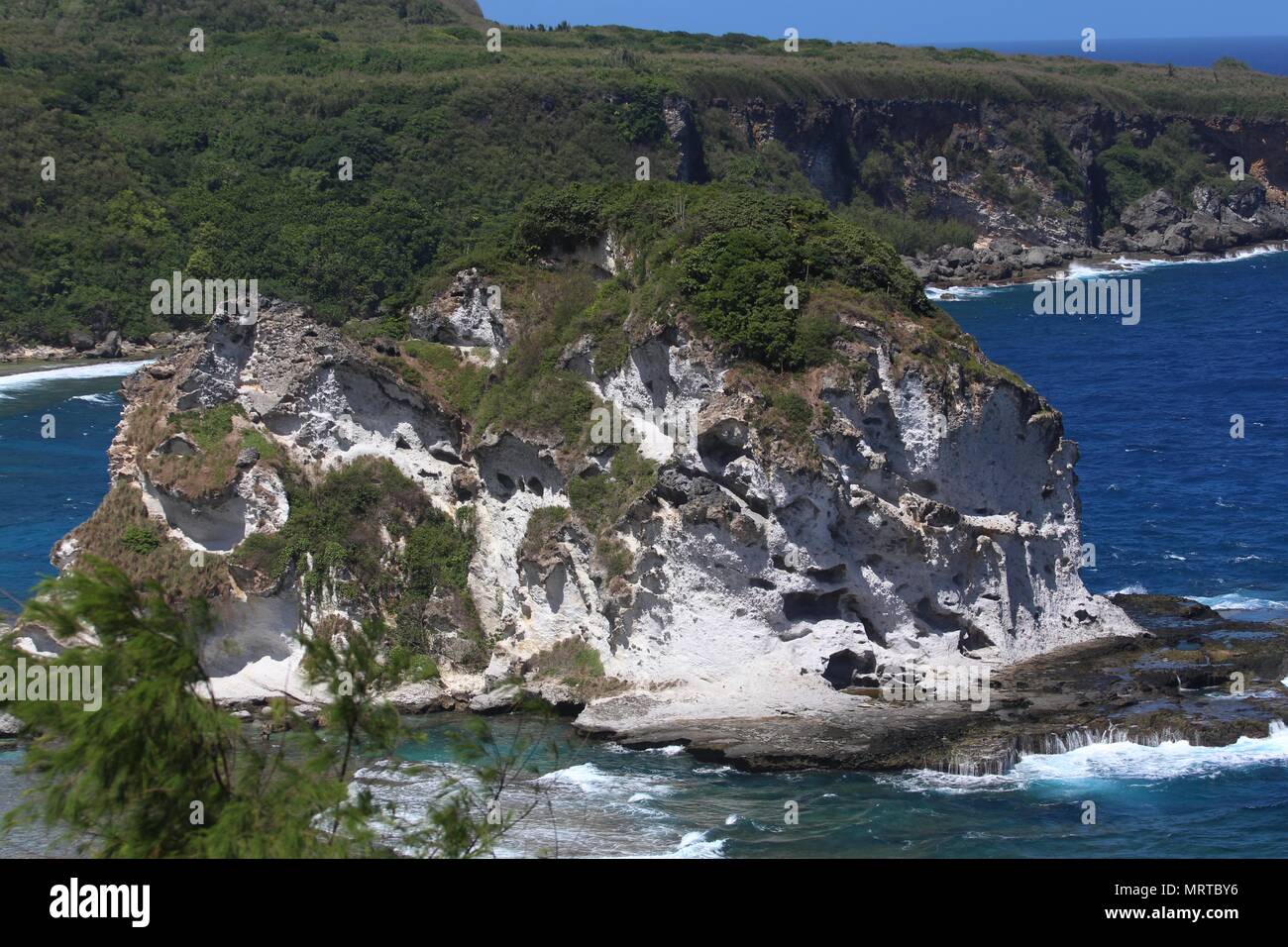 A close up shot of Bird Island, one of the top tourist attractions in ...