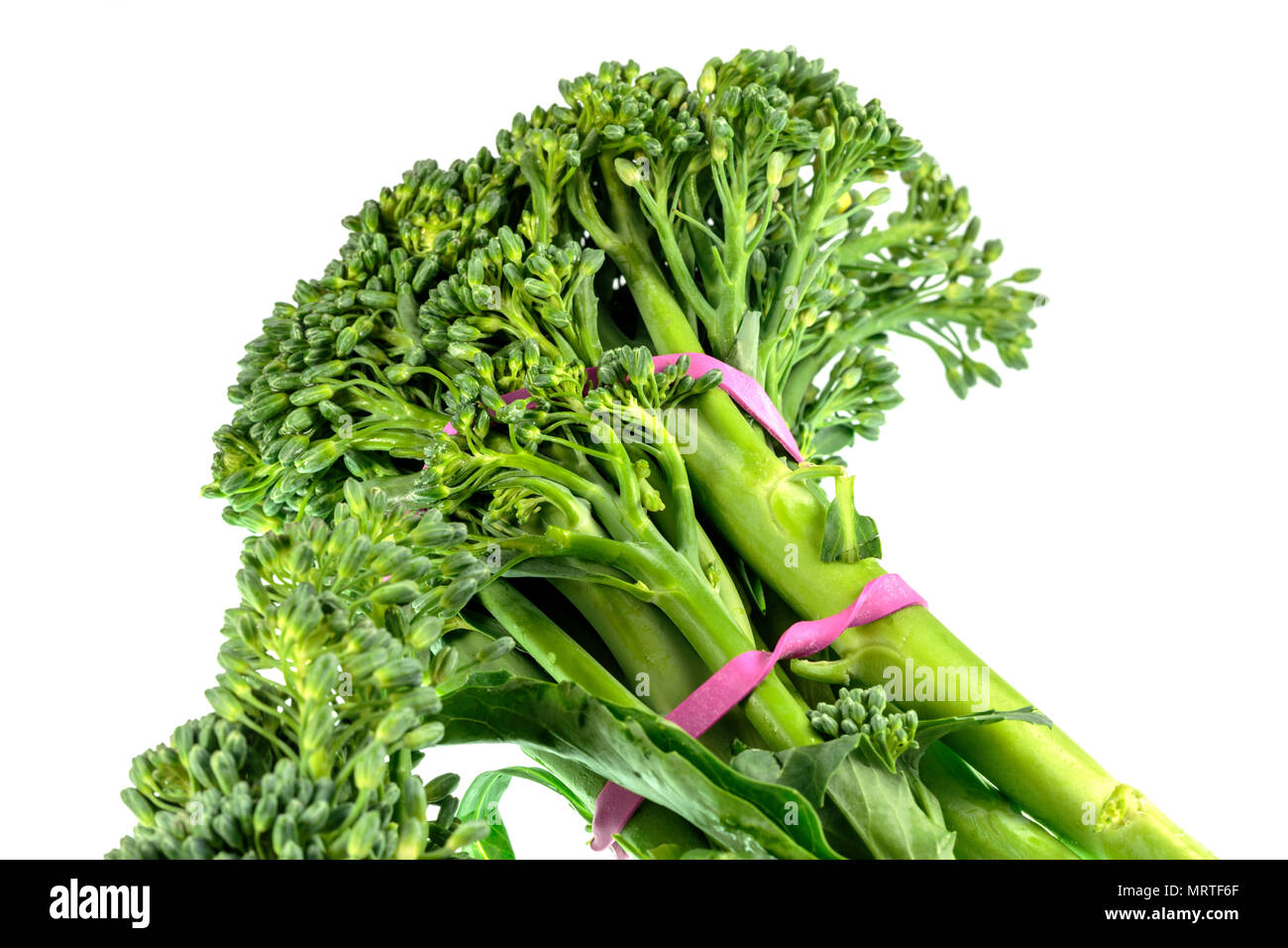 Beautiful fresh broccolini ready to be consumed Stock Photo - Alamy
