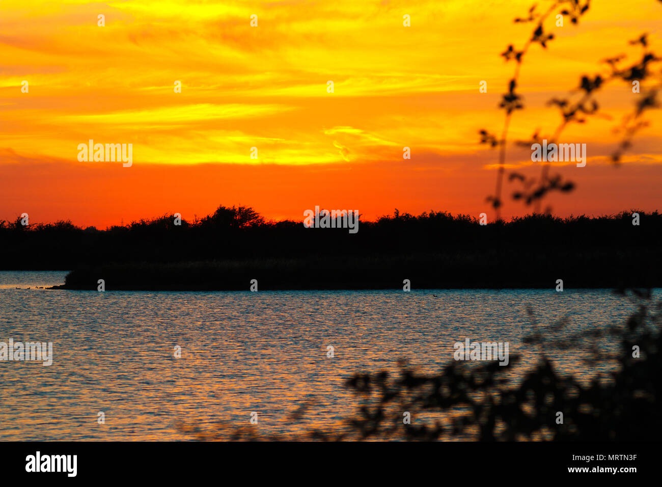 Cliffe Pools just outside of Rochester in Kent, from late afternoon to ...