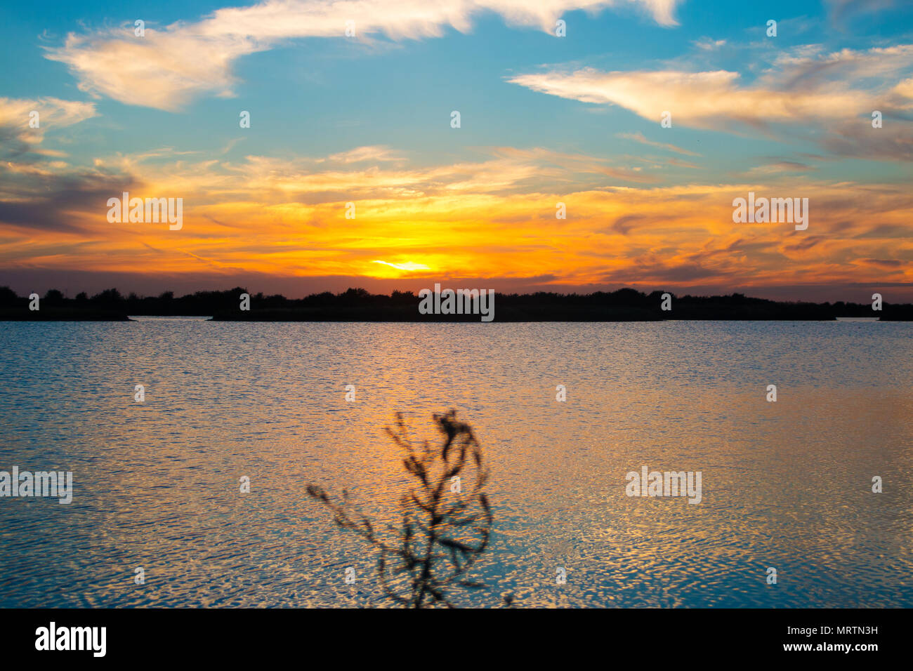Cliffe Pools just outside of Rochester in Kent, from late afternoon to ...