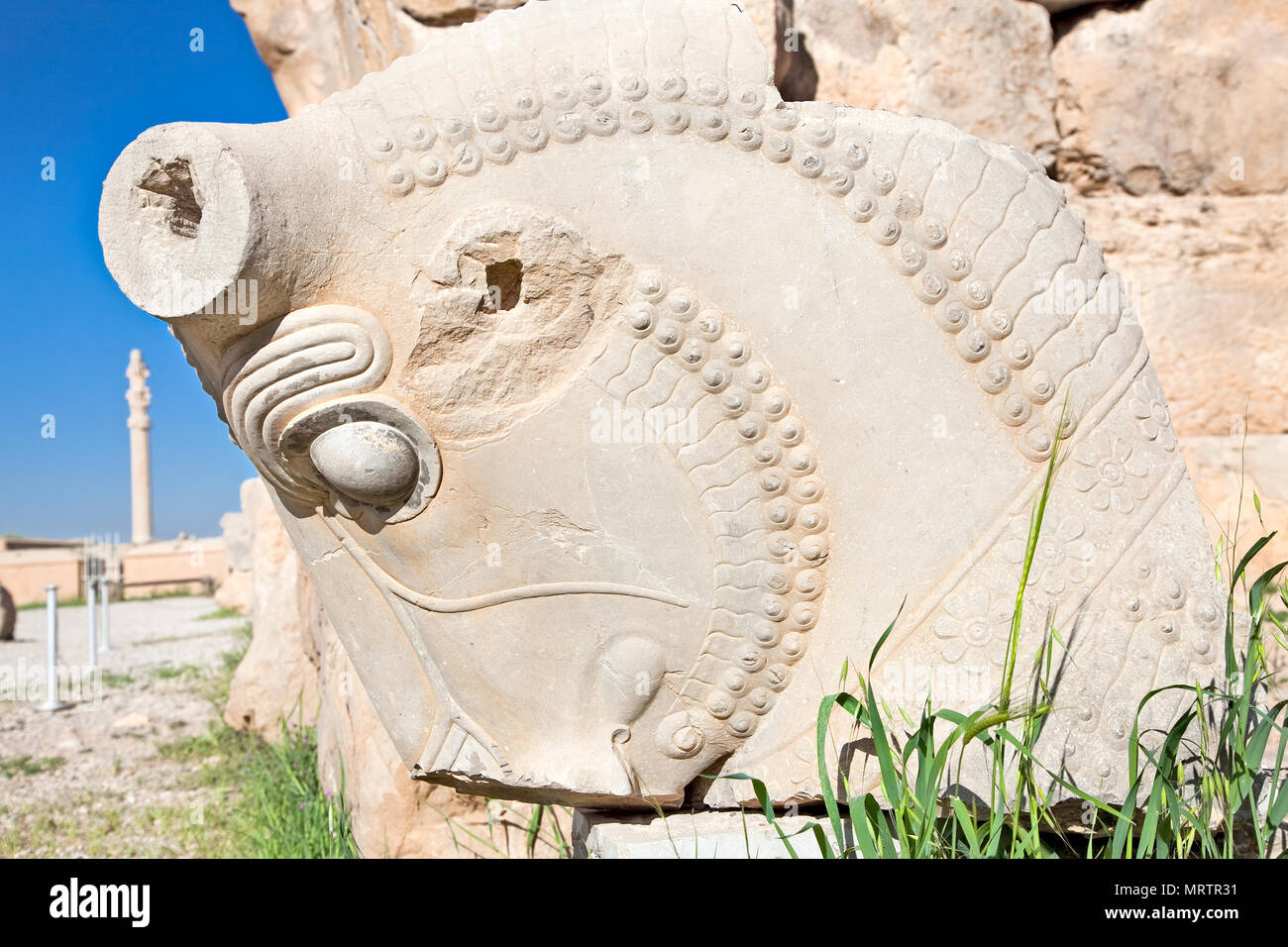 Persian Bull Column Capital, Persepolis, Iran Stock Photo - Alamy