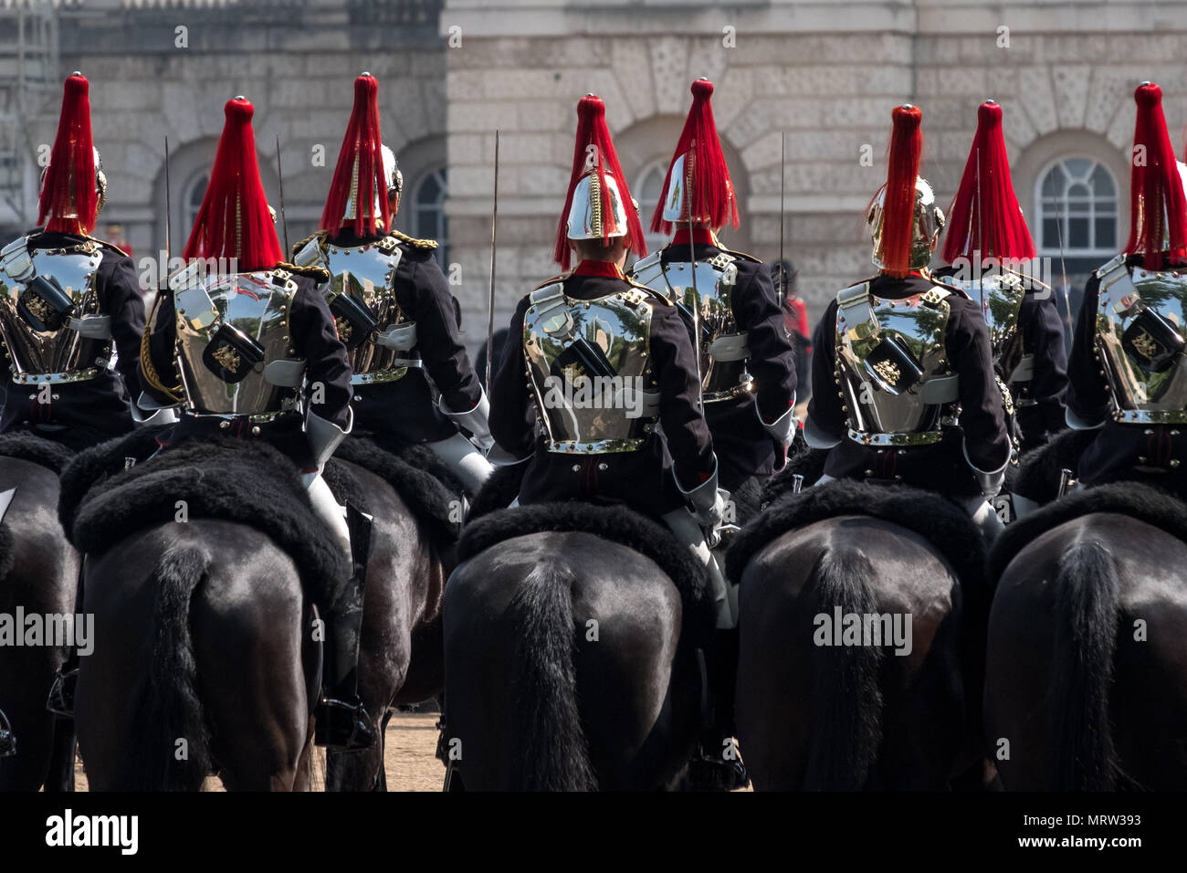 Close up of black horses belonging to the Household cavalry taking part ...
