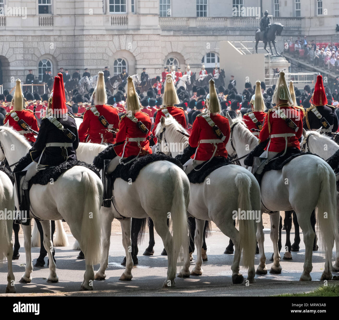 White horses of Household Cavalry taking part in the Trooping the ...